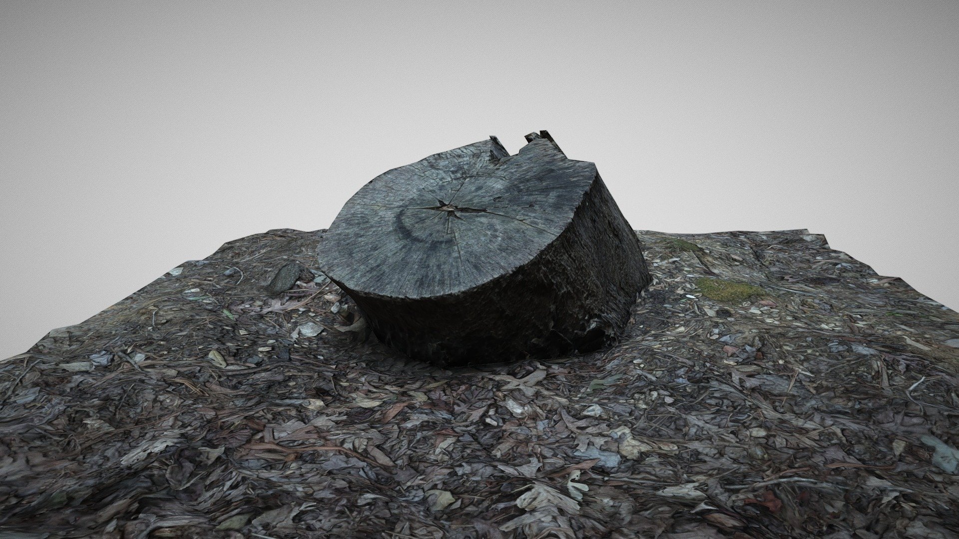 Small Nature Scene - Download Free 3D model by Josiah Holcom ...