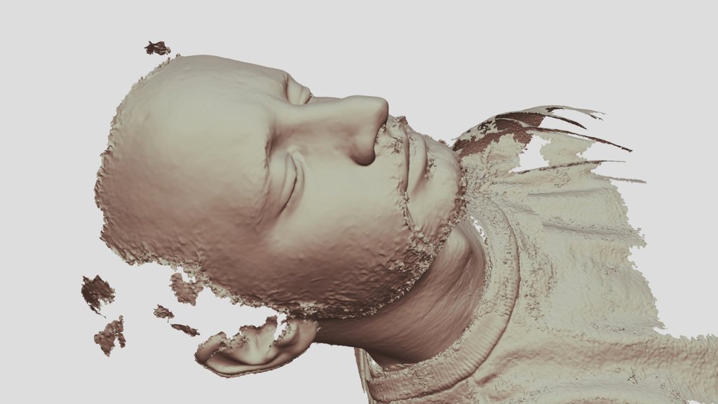 human anatomy - A 3D model collection by McTeeth - Sketchfab