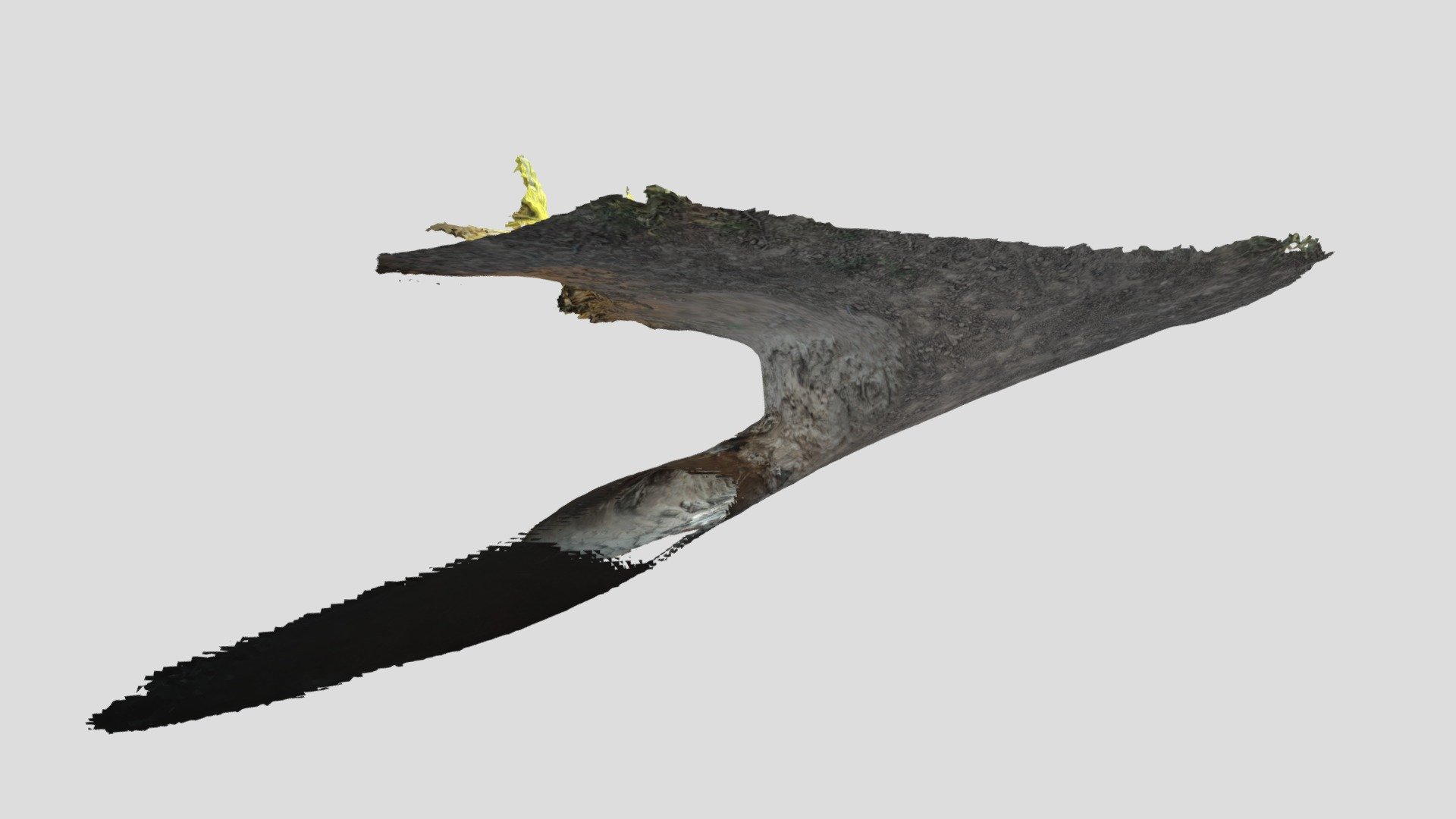 Tortoise burrow - 3D model by resi-solutions [130a149] - Sketchfab