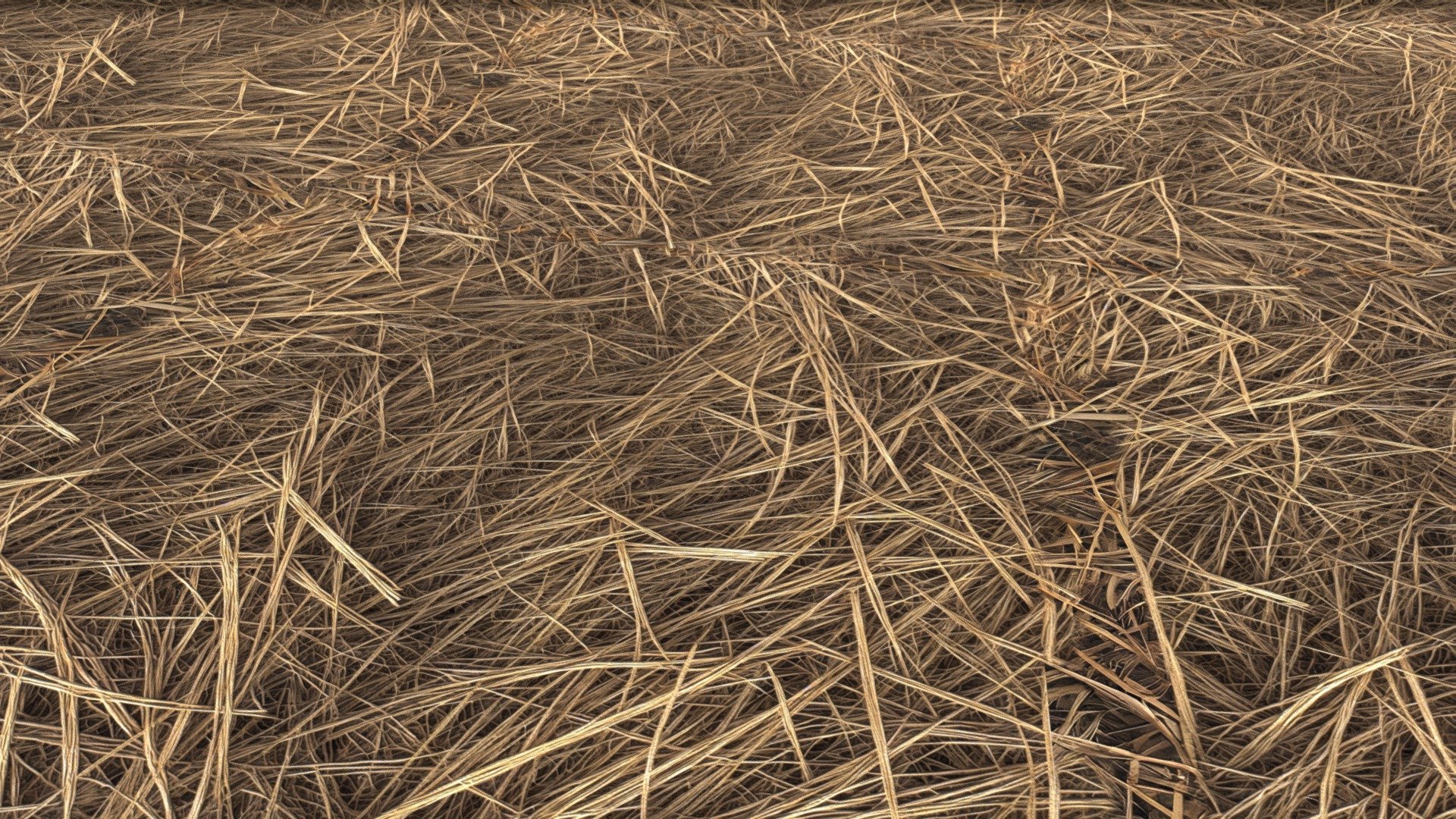 Dry straw on the ground tile texture - Download Free 3D model by ...