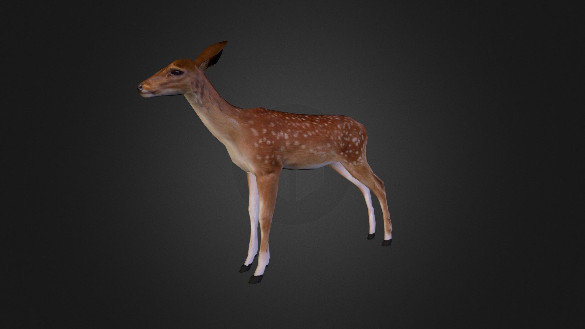 Fallow deer summer - 3D model by khalidur3d [1310c04] - Sketchfab