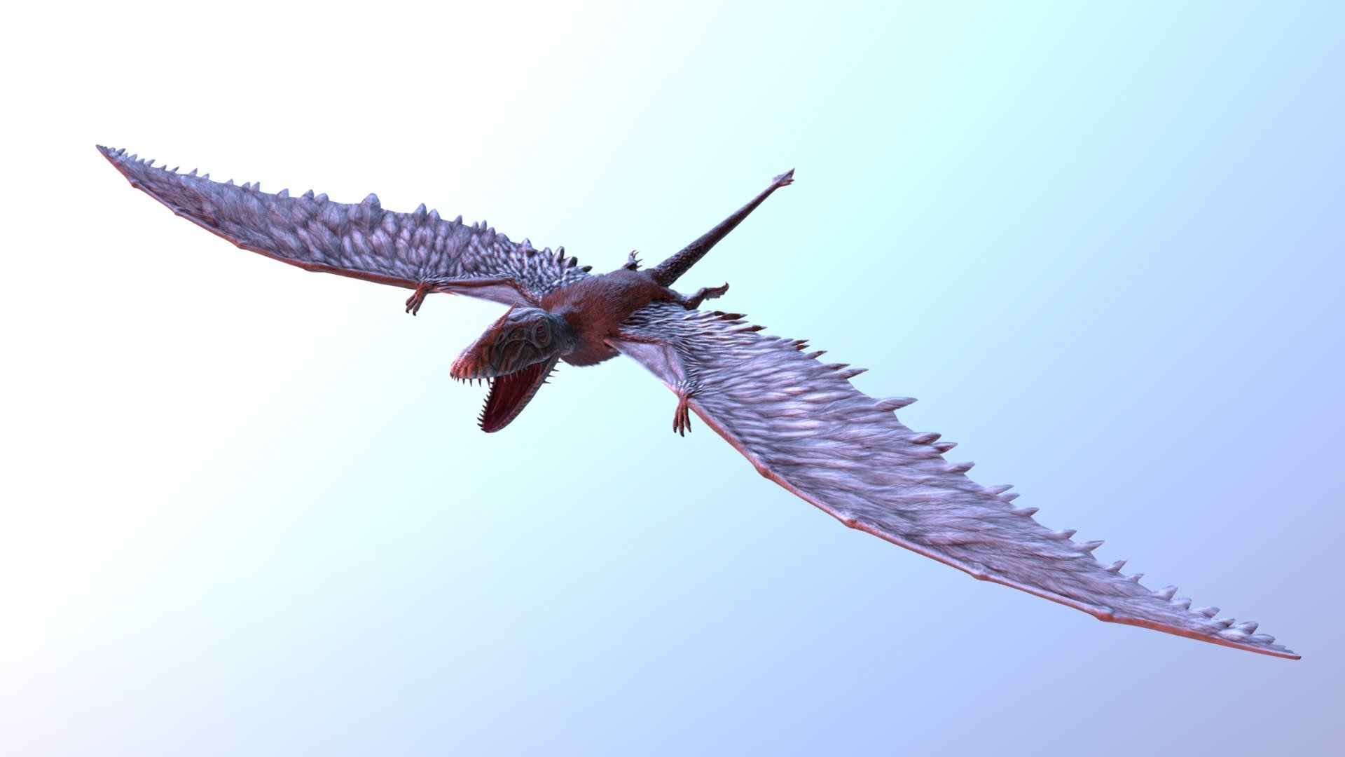 Dimorphodon - 3D model by beholdmidia [1311ff9] - Sketchfab