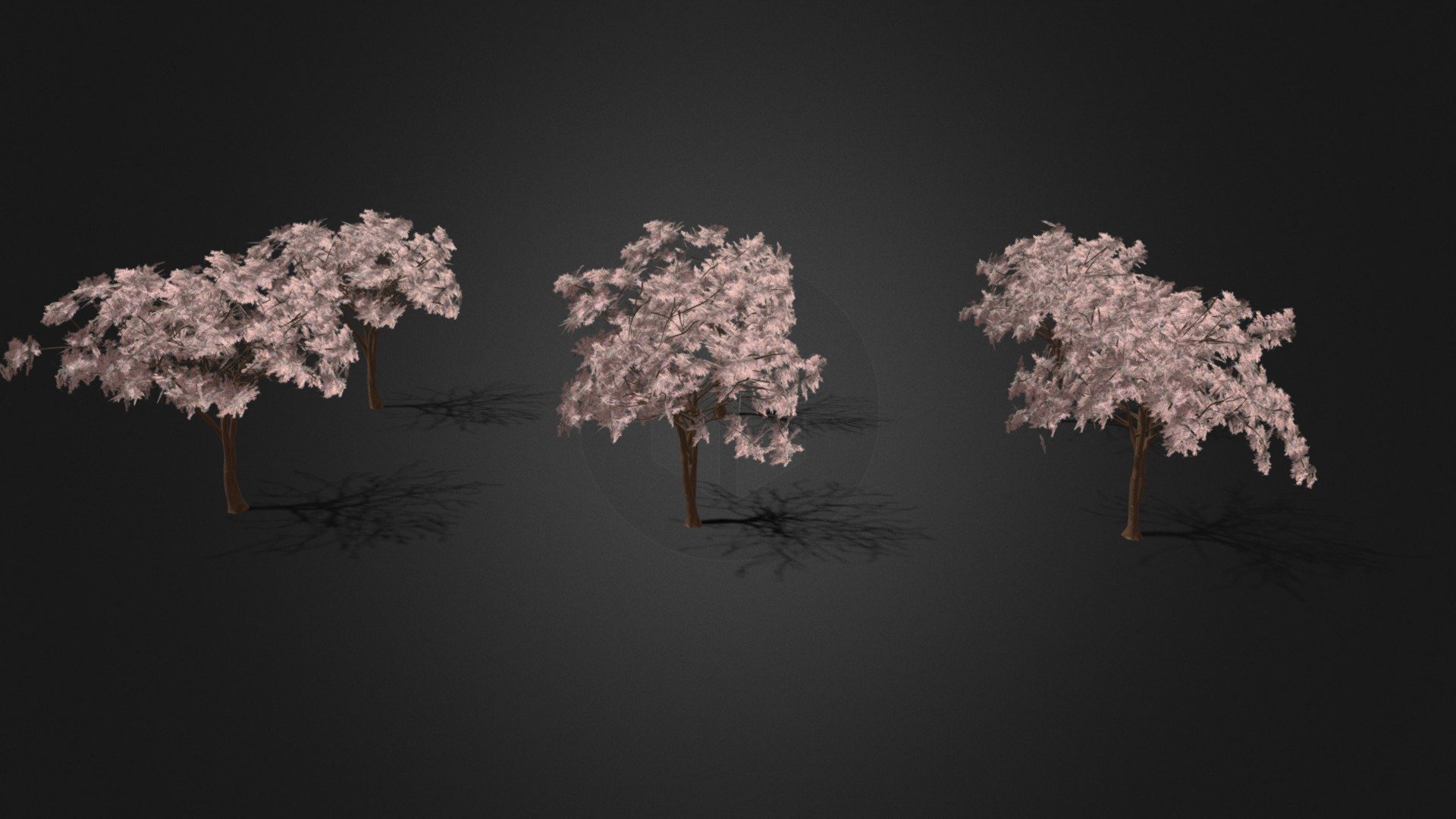Cherry Tree Variations With Low Poly Variants - Download Free 3D model ...