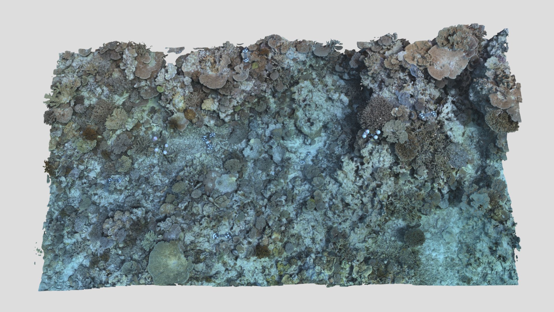 Heron_BA2S_P4_202105 - Download Free 3D model by EcoRRAP (@AIMSEcoRRAP ...