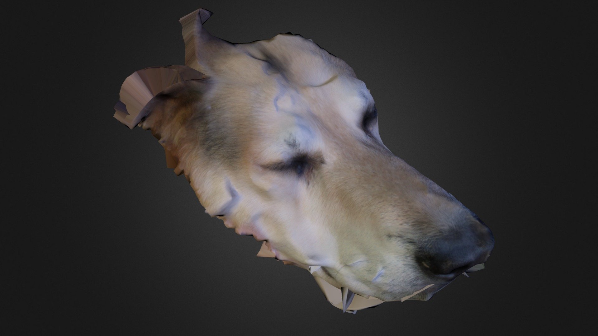 Max.zip - 3D model by Francis66 [1323dea] - Sketchfab