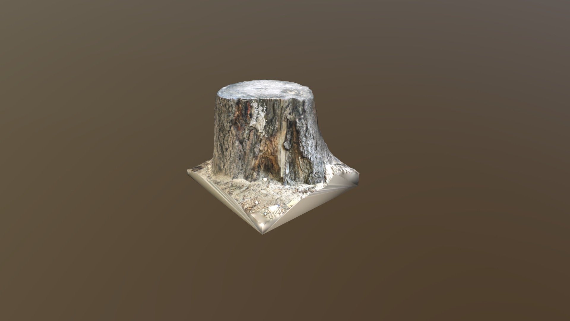 Treemp Stump 5k Poly - Download Free 3D model by Hybrid Reality ...