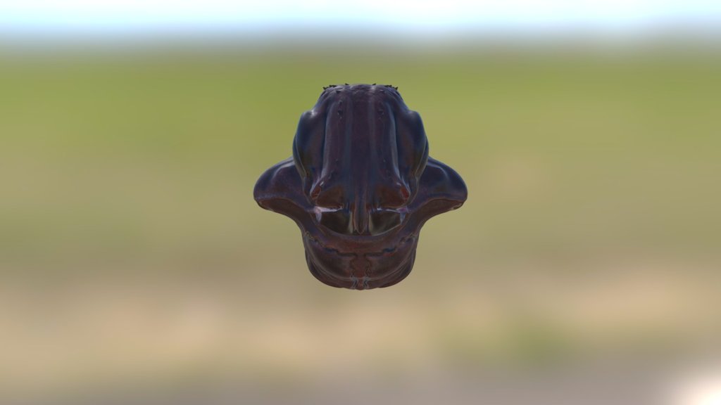 alien texture - 3D model by tokenbg [1328a39] - Sketchfab