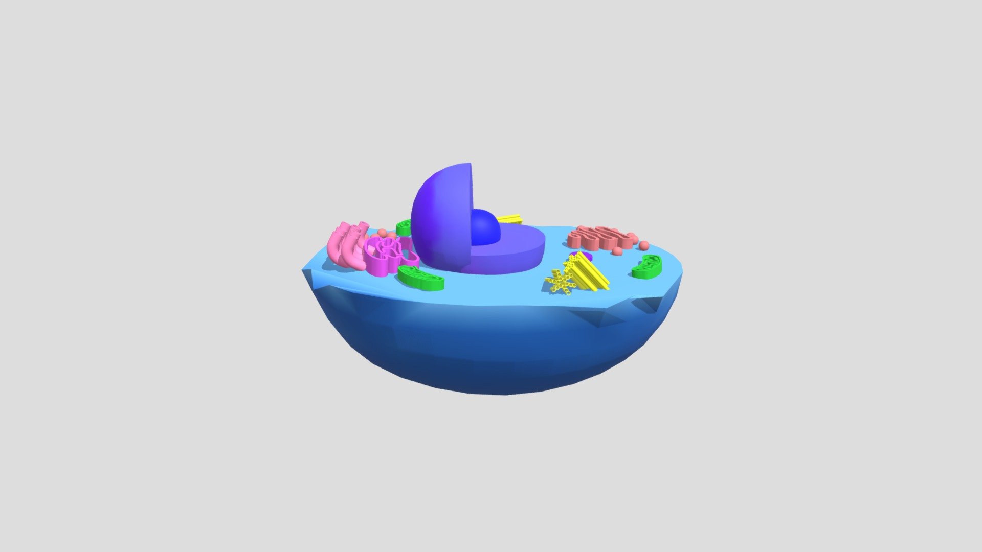 Célula Animal - Download Free 3D model by Bruno Pascon (@leser.bot ...