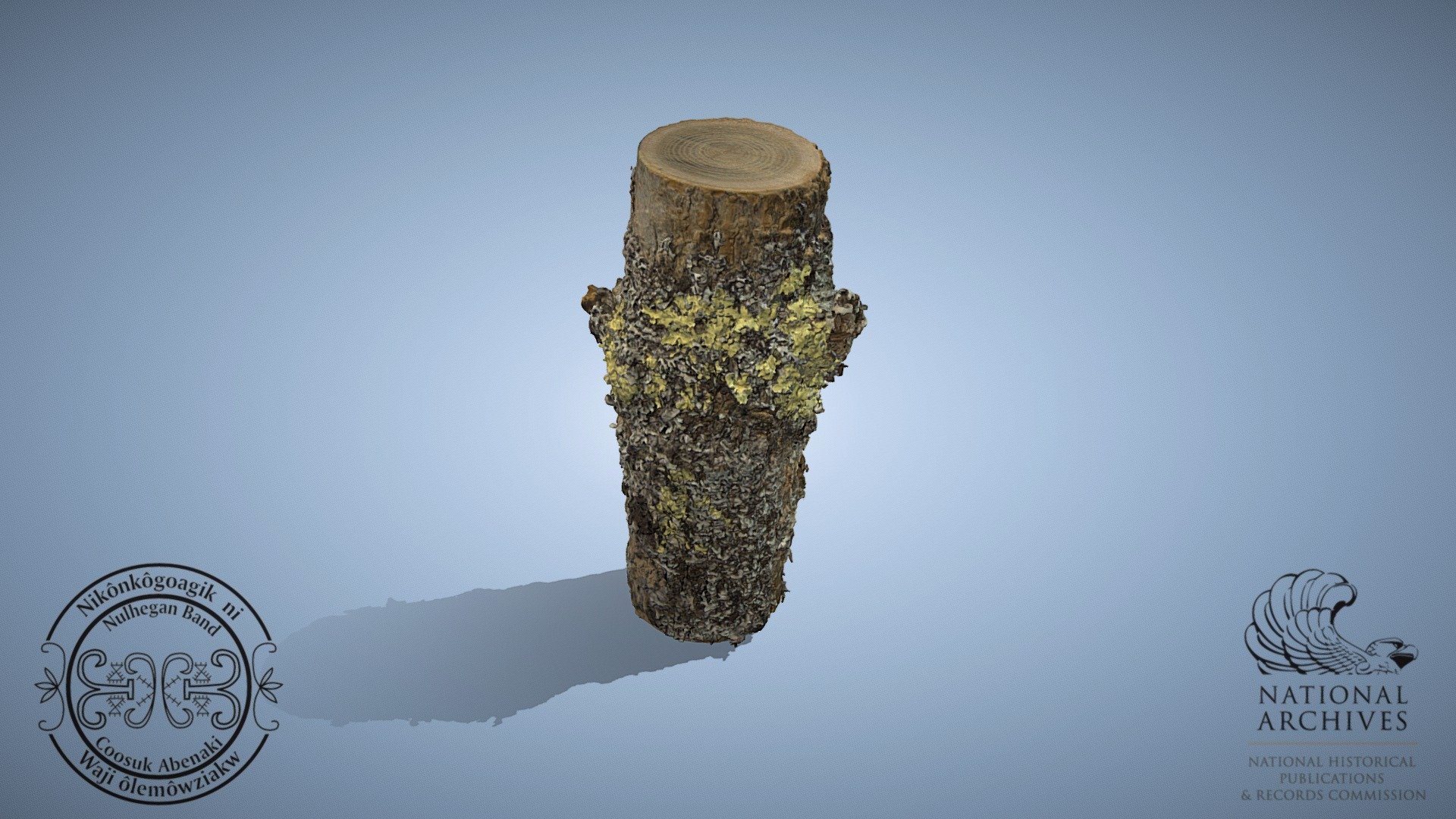 Black Ash Tree log - 3D model by Abenaki Helping Abenaki ...