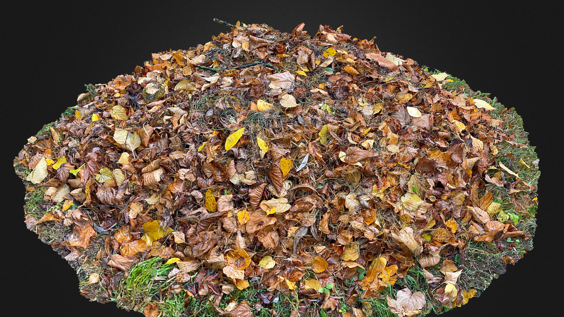 Leaf Pile (High Poly raw ) Scan - 3D model by Ostap_Scan [133cec4 ...