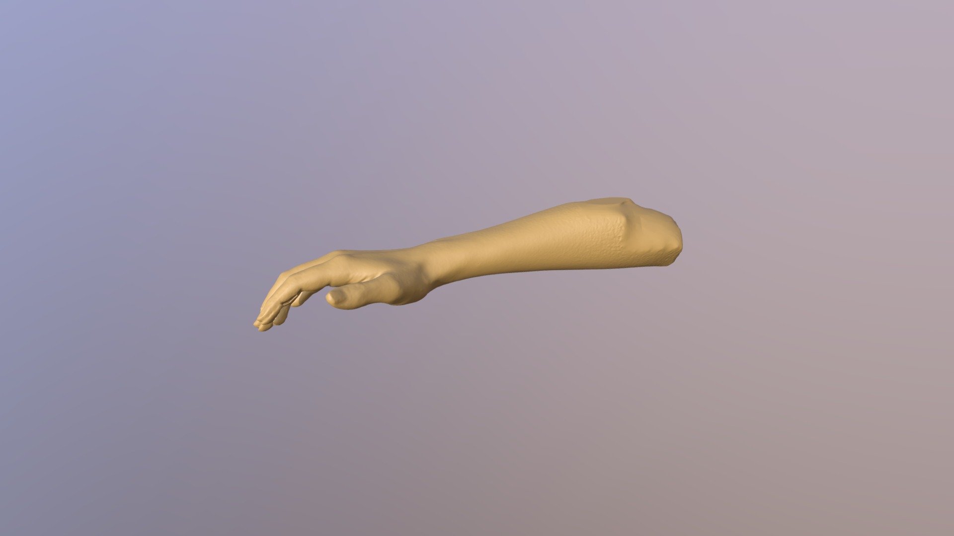 Arm - 3D model by Blitzle8264 [133de30] - Sketchfab