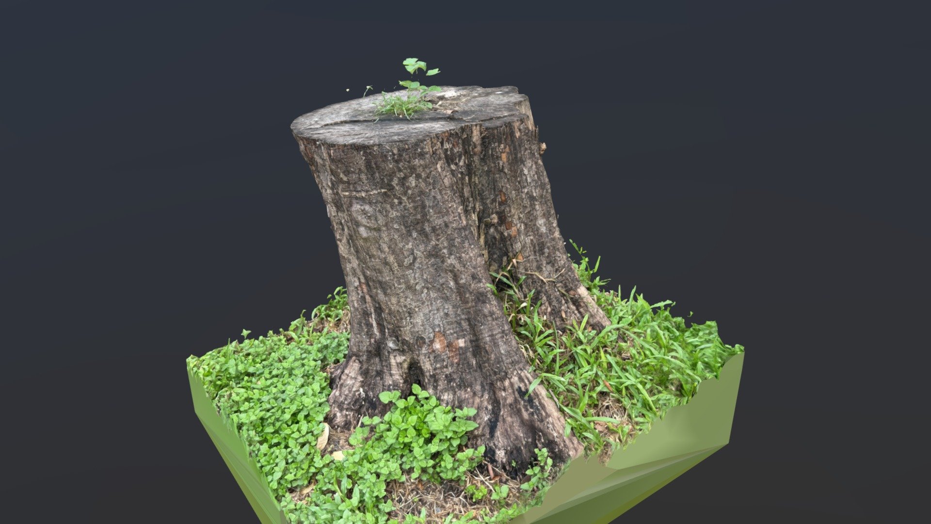 Root - Download Free 3D model by Binhou (@a98b98c98) [133eb3f] - Sketchfab