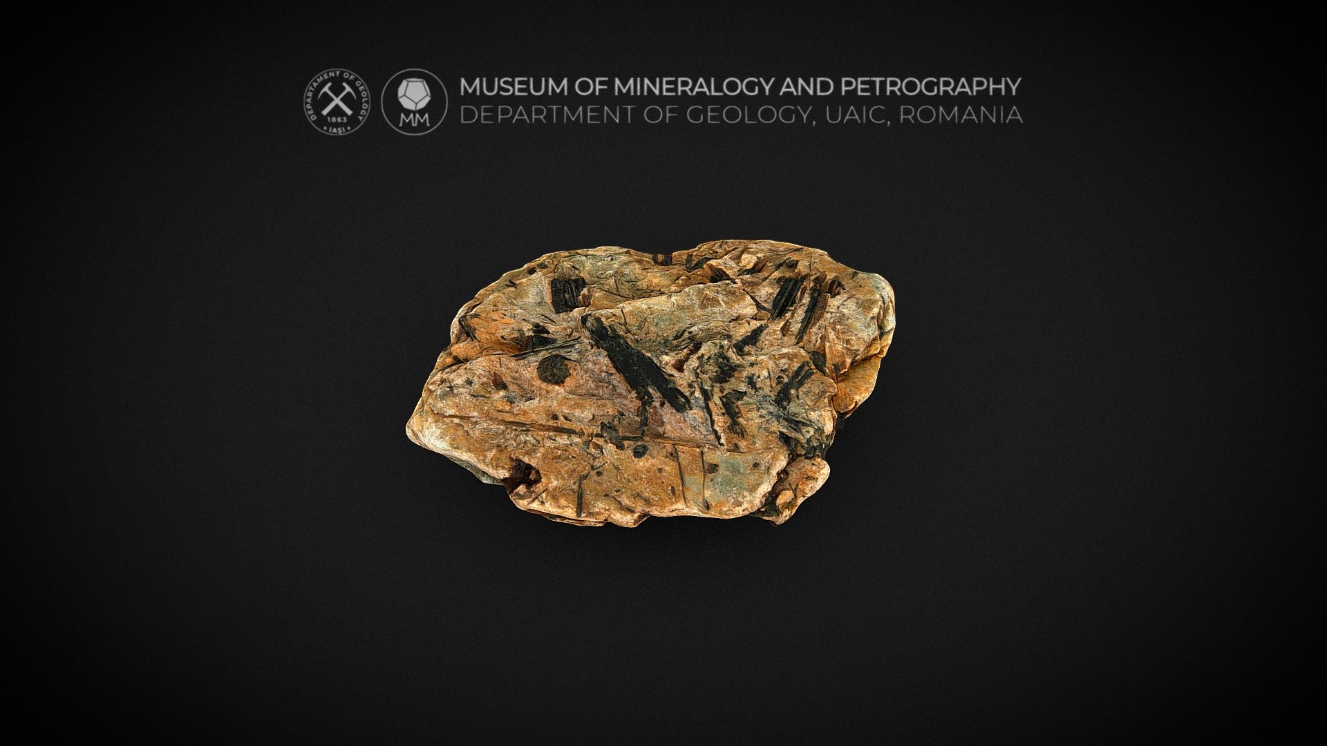Green Actinolite crystals on Mica Schist matrix - 3D model by Museum of ...