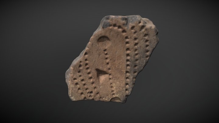Sponge-spicules 3D models - Sketchfab