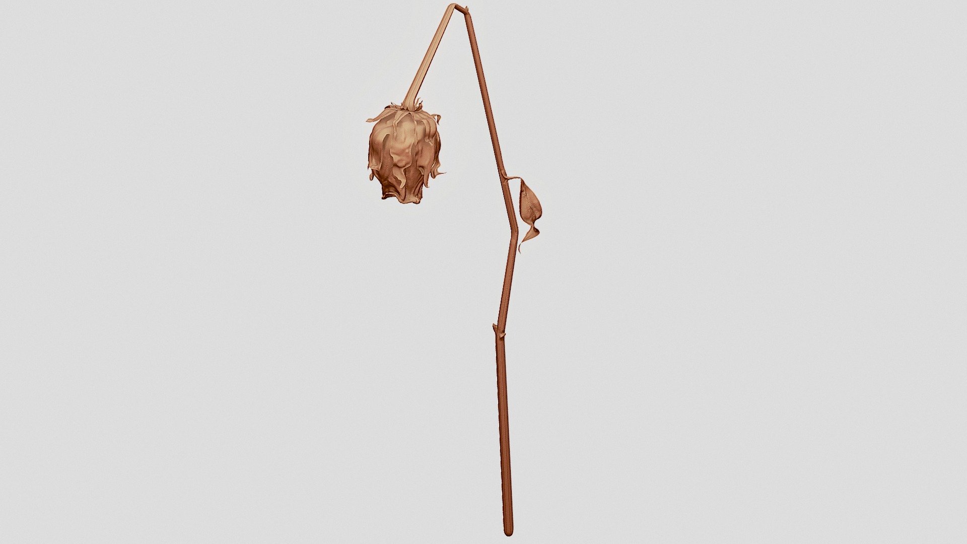 Wilted Flower Sculpt - Download Free 3D model by POLYCOSM [1355e49 ...