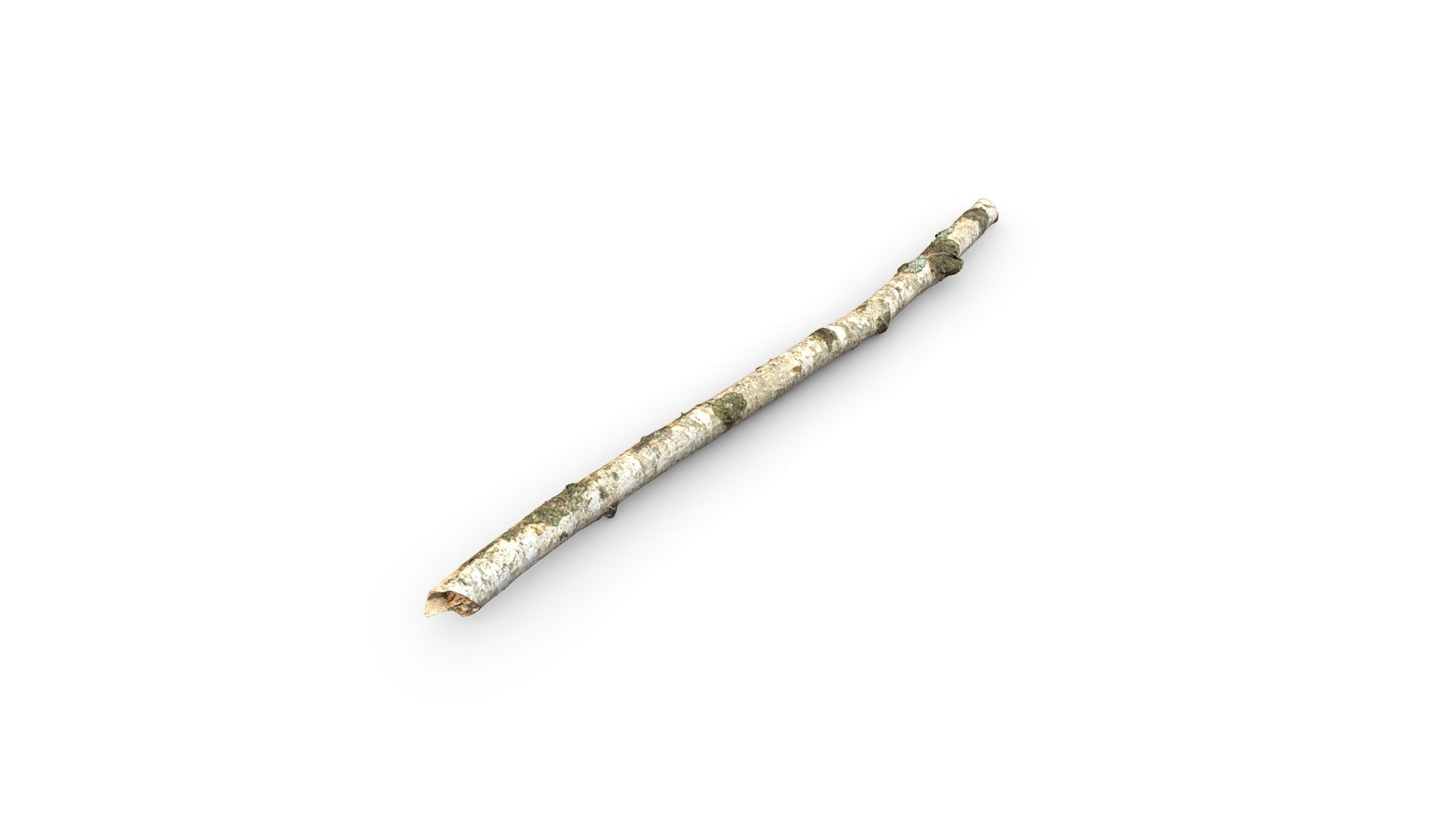 Birch Stick - 3D model by RawCatalog.com (@rawcatalog) [1358225 ...