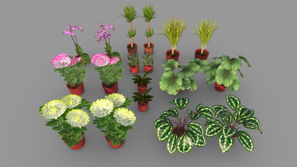Realistic Nature & Plants 3D Models - A 3D model collection by ...