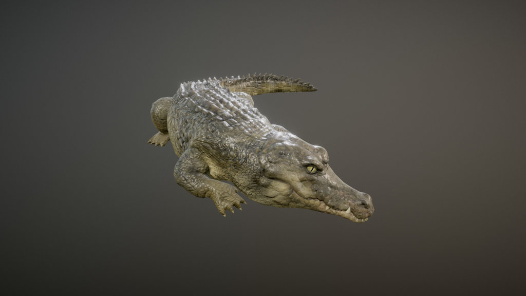 Hathi - A 3D model collection by 321pravin - Sketchfab