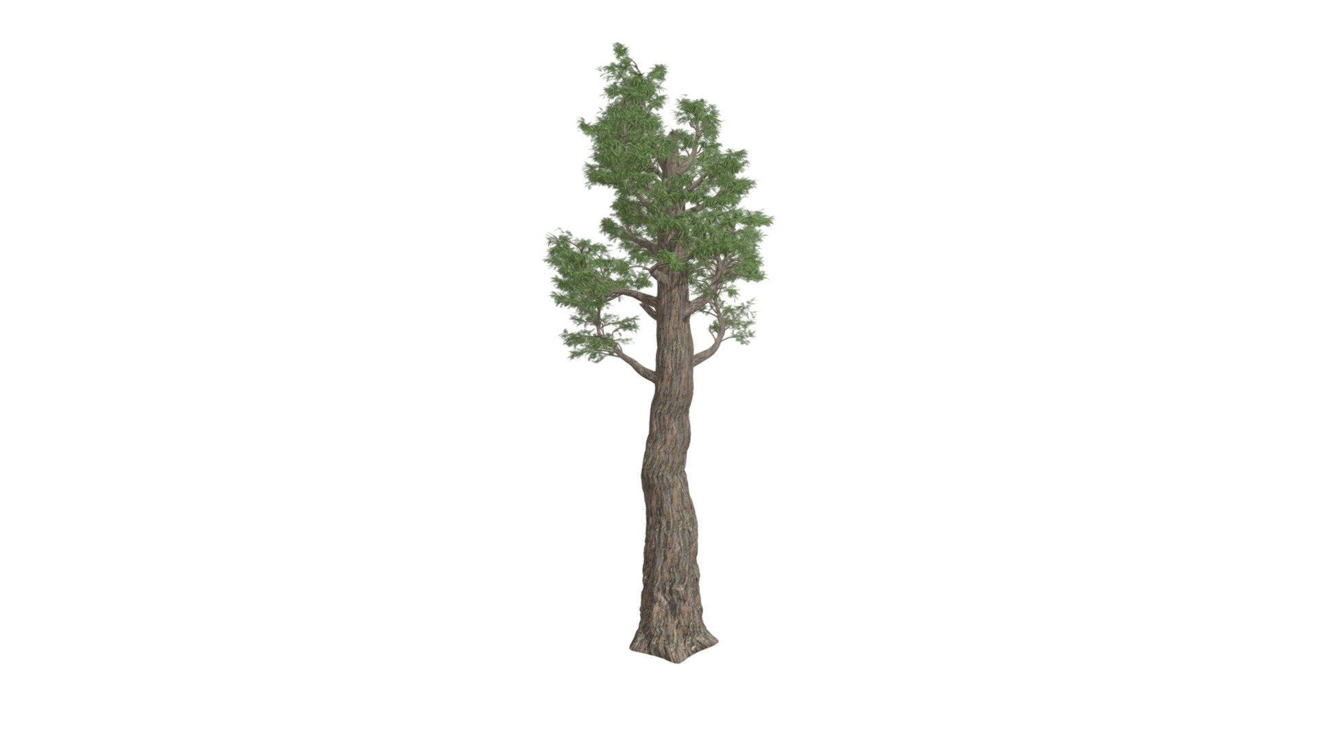 Giant Redwood Tree #09 - Buy Royalty Free 3D model by meshshape ...
