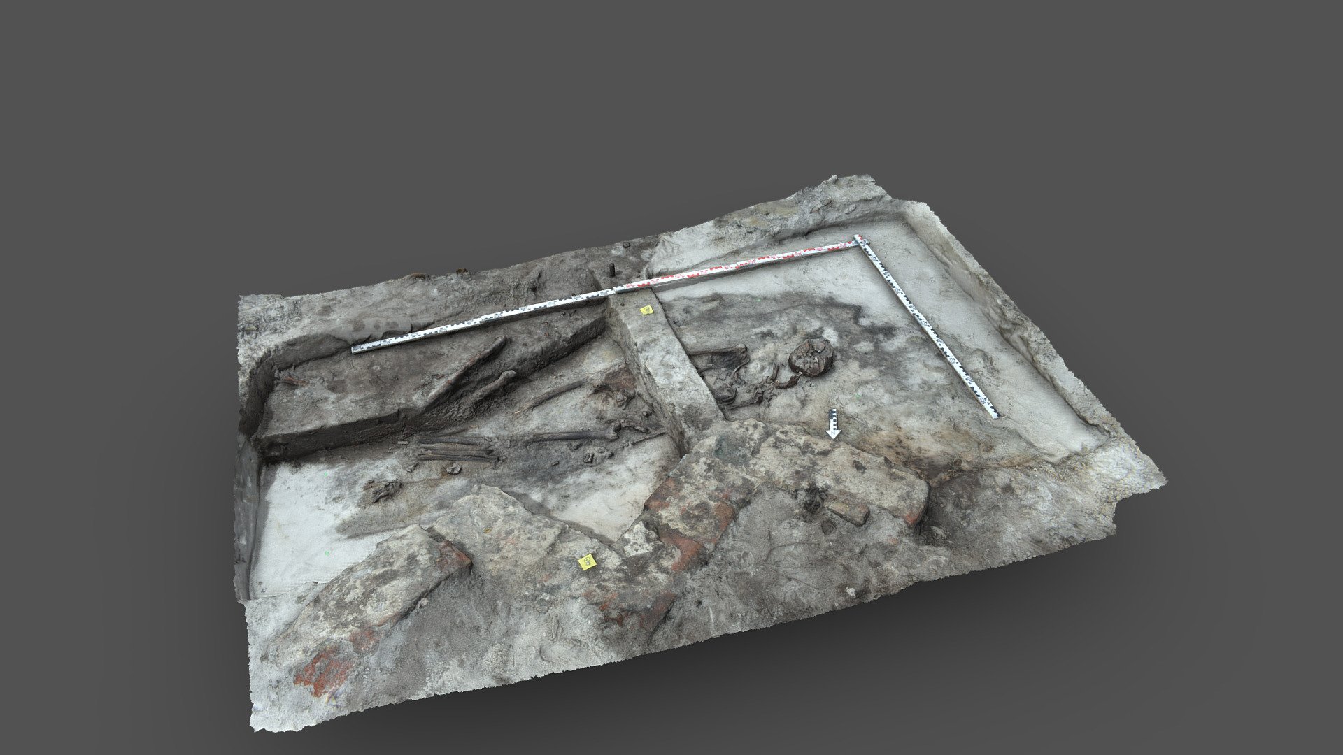 2023 BRB BEF 14 Grab Weiblich erw - 3D model by praehist3d [13694f3 ...
