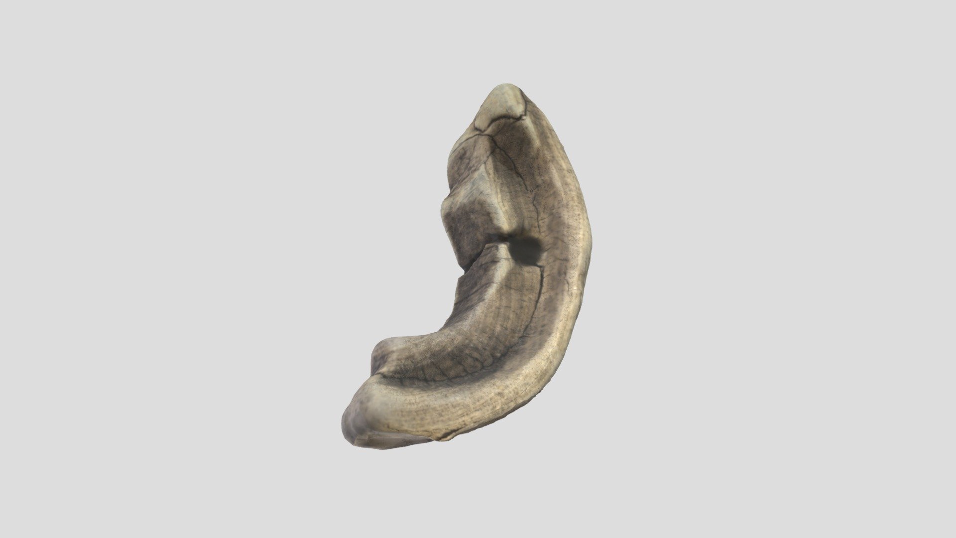 Strandfynd, blockskiva av trä - 3D model by KaMiJa [13780f6] - Sketchfab