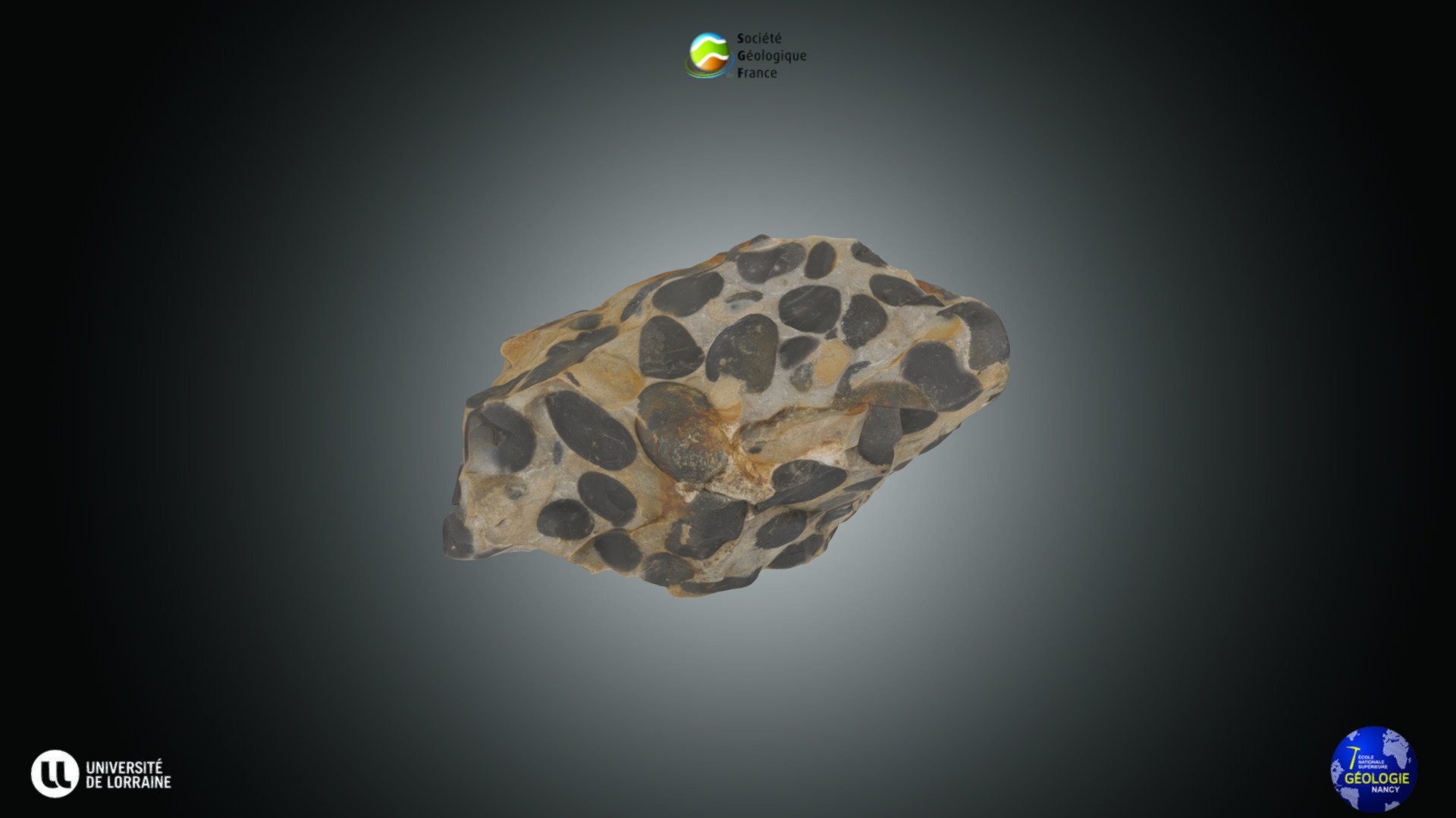 Roche - Conglomérat siliceux - Download Free 3D model by Société ...