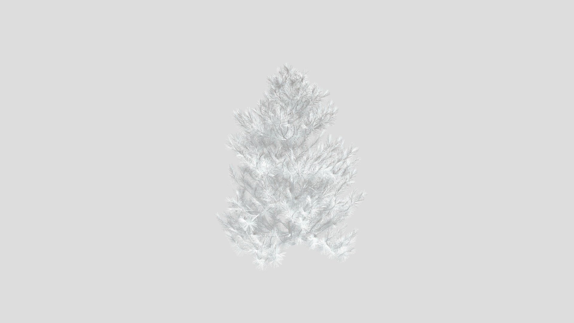 Pine Tree - Download Free 3D model by shrihansvlog [137fdd6] - Sketchfab