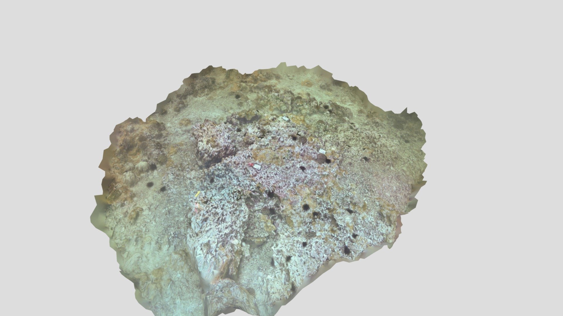 Oʻahu HNL Airport (June 2020) - 3D model by Coral Resilience Lab ...
