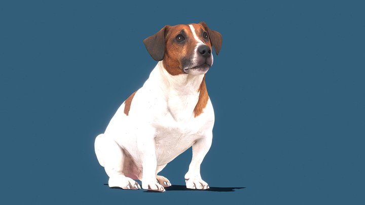 Collada 3D models - Sketchfab