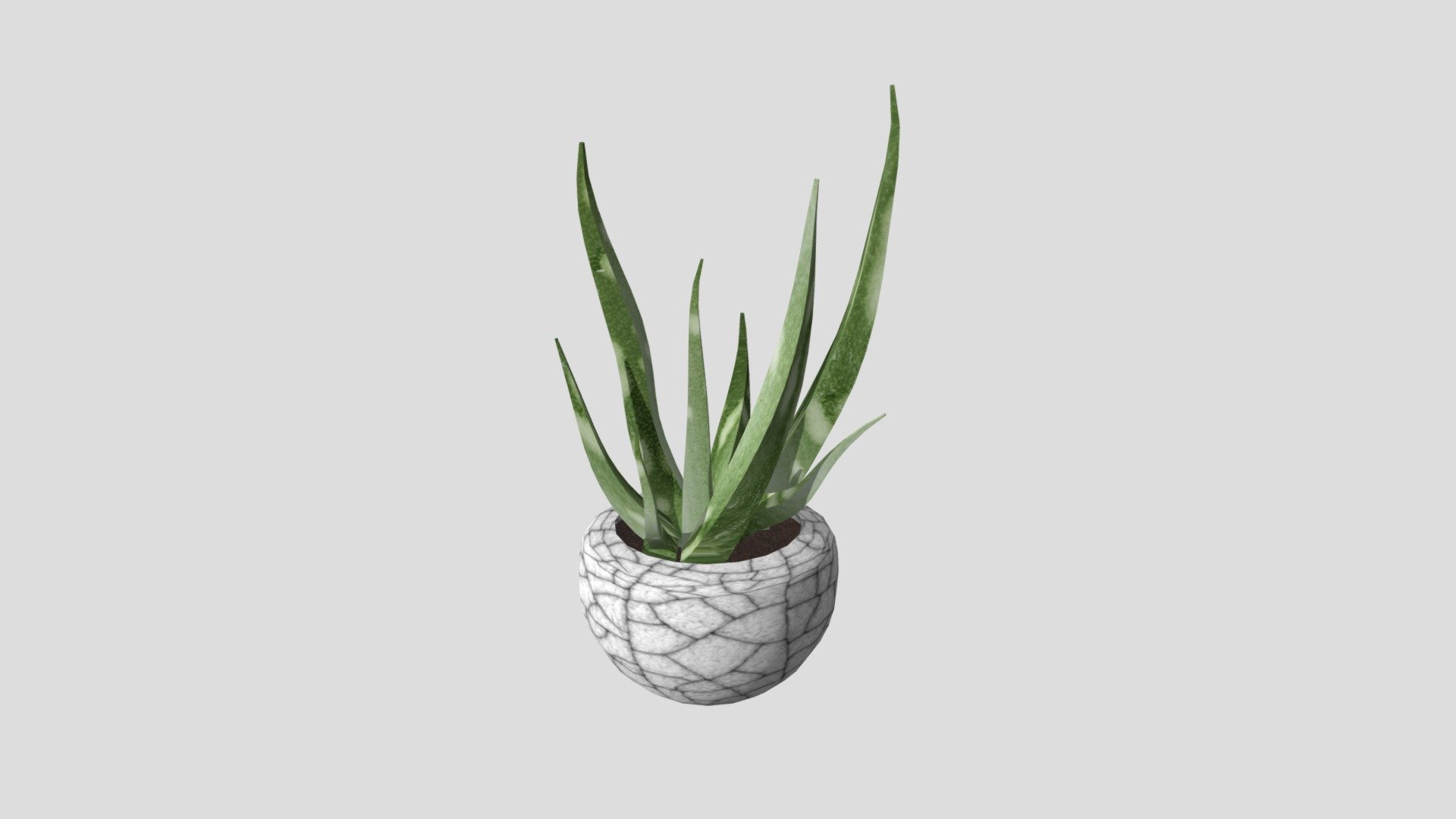Plant - Download Free 3D model by madicooks [13881b5] - Sketchfab