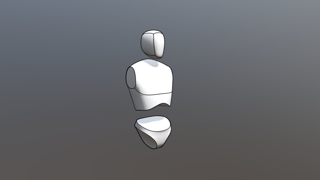 Drawing reference anatomy - A 3D model collection by Avbpp - Sketchfab