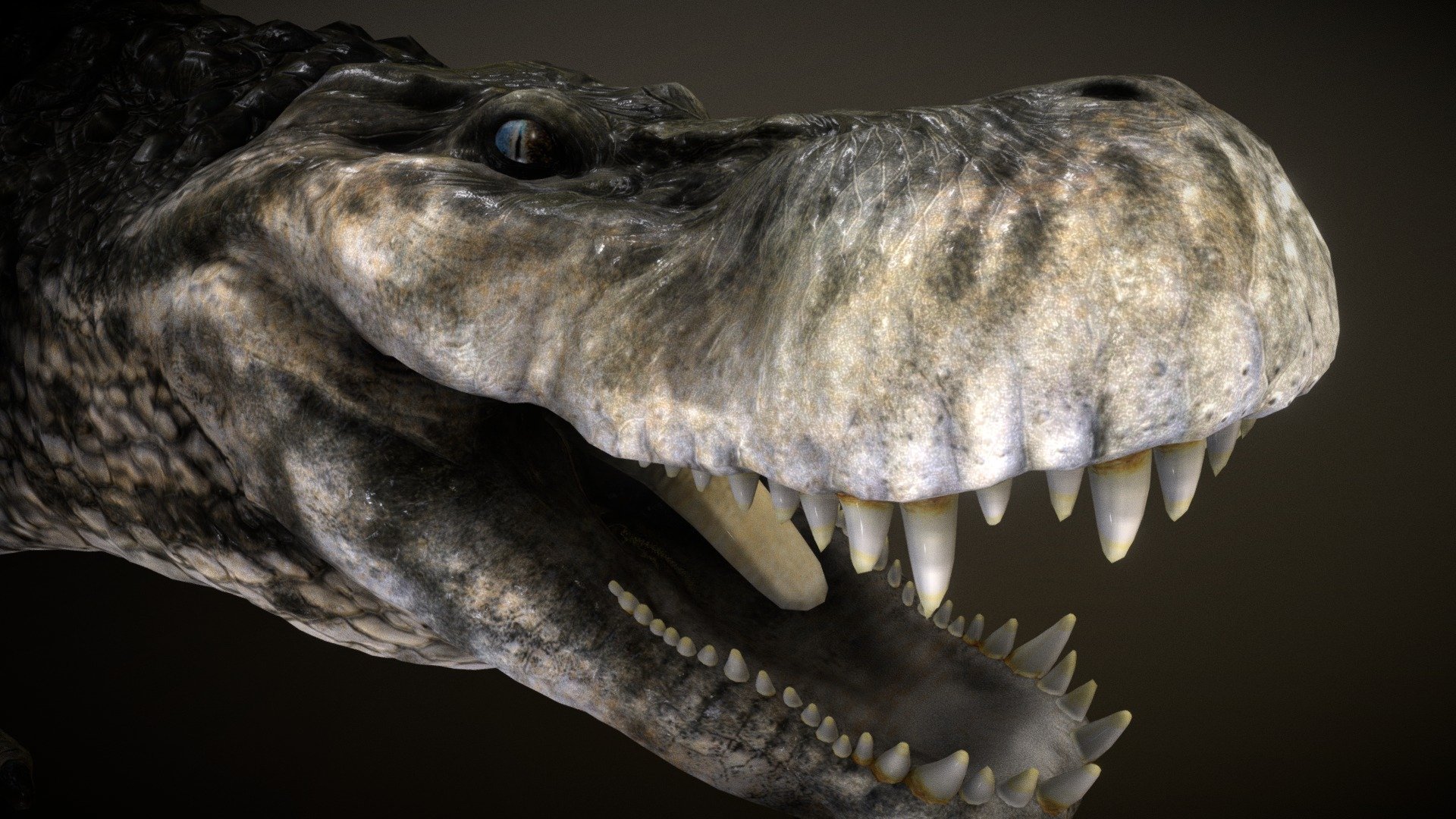 Purussaurus - Buy Royalty Free 3D model by robertfabiani [1390445 ...