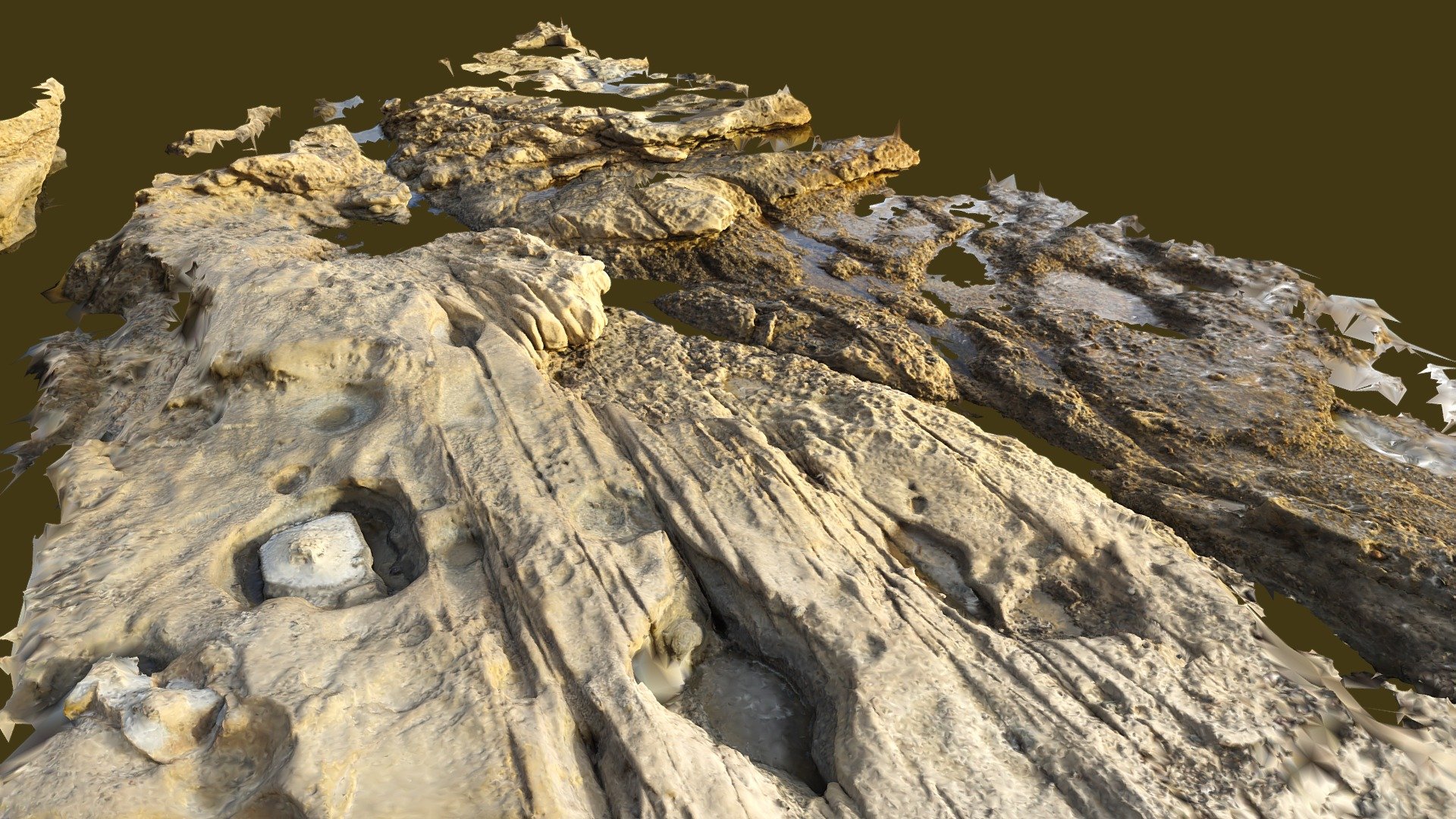 Tidepools - 3D model by John Toeppen (@toeppen) [13a520d] - Sketchfab
