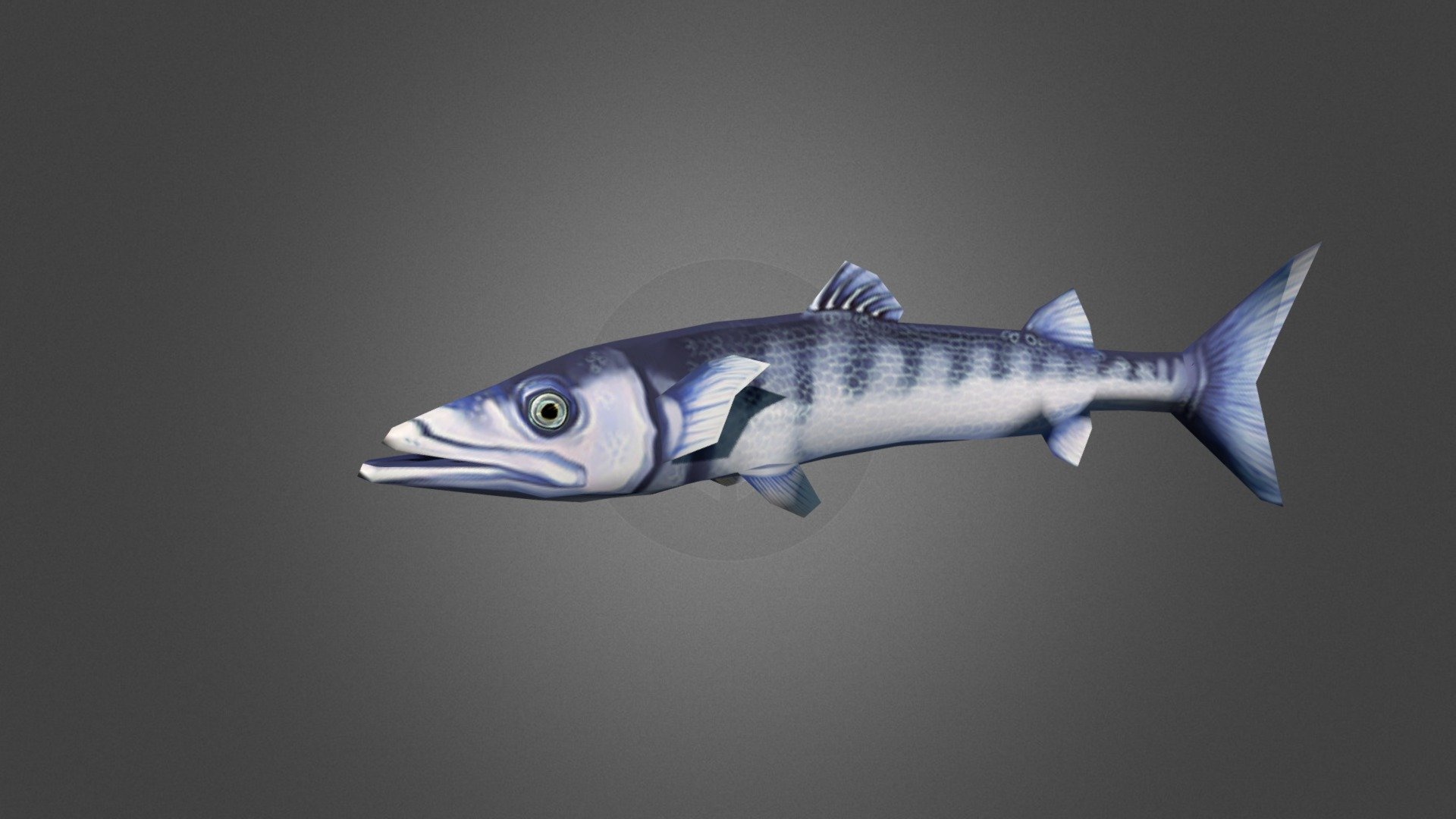 Great Barracuda - 3D model by 3lbgames [13a670e] - Sketchfab