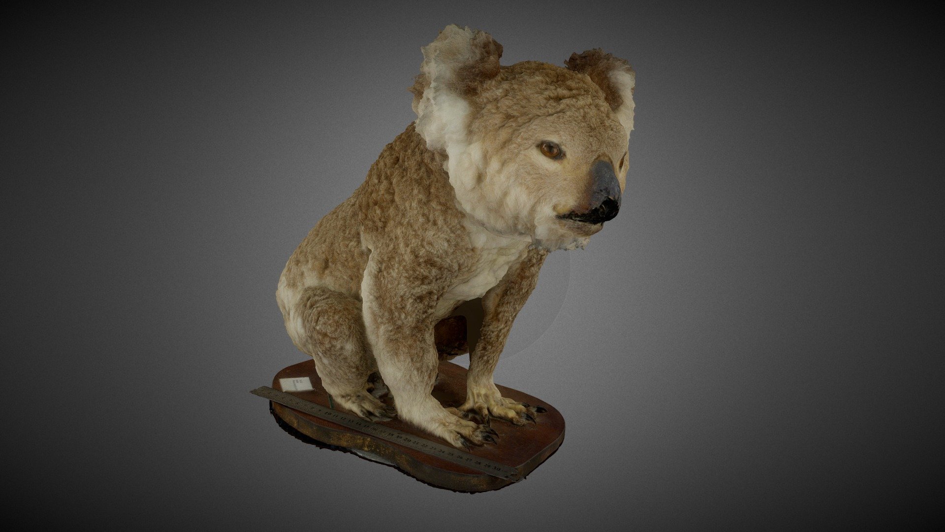 Blinky - 3D model by UON - HCISS (@UONHCISS) [13a7f50] - Sketchfab