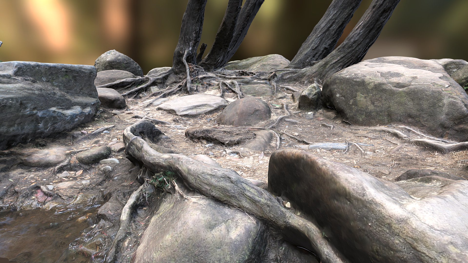 River Section - Download Free 3D model by 3Danny (@Heylowgogo) [13afc36 ...