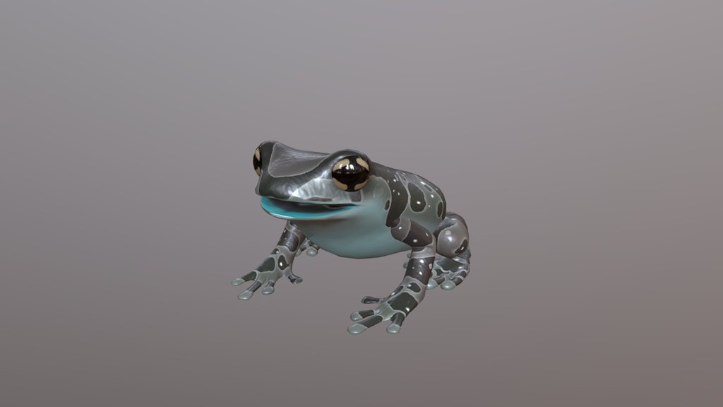Frogs - A 3D model collection by kenchoo - Sketchfab