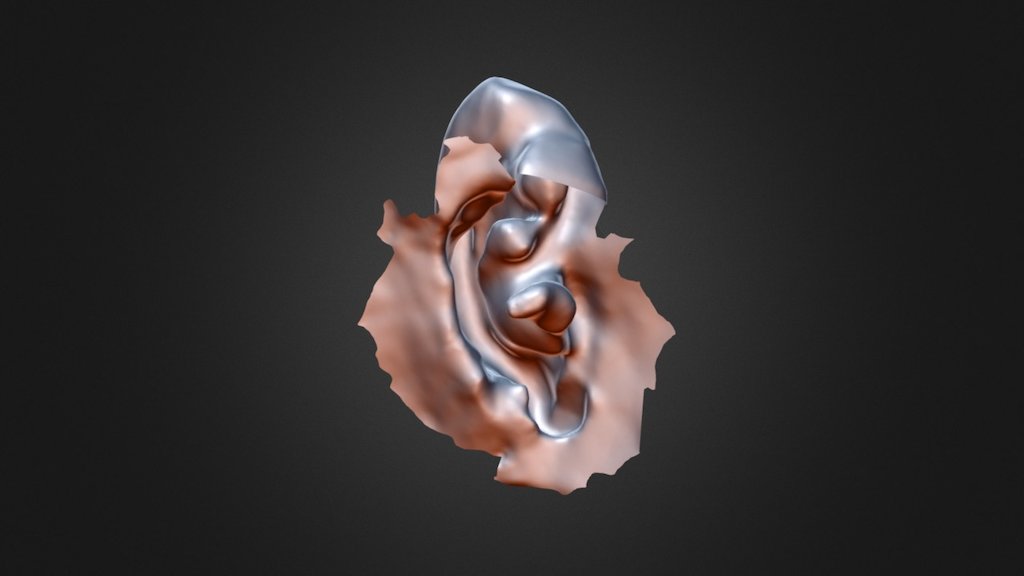Ear scan L - 3D model by asak92 [13bcc1d] - Sketchfab