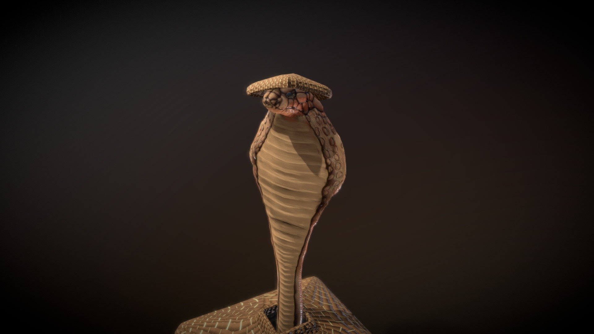CG Charmer Cobra - 3D model by cgcharmer [13cd57f] - Sketchfab