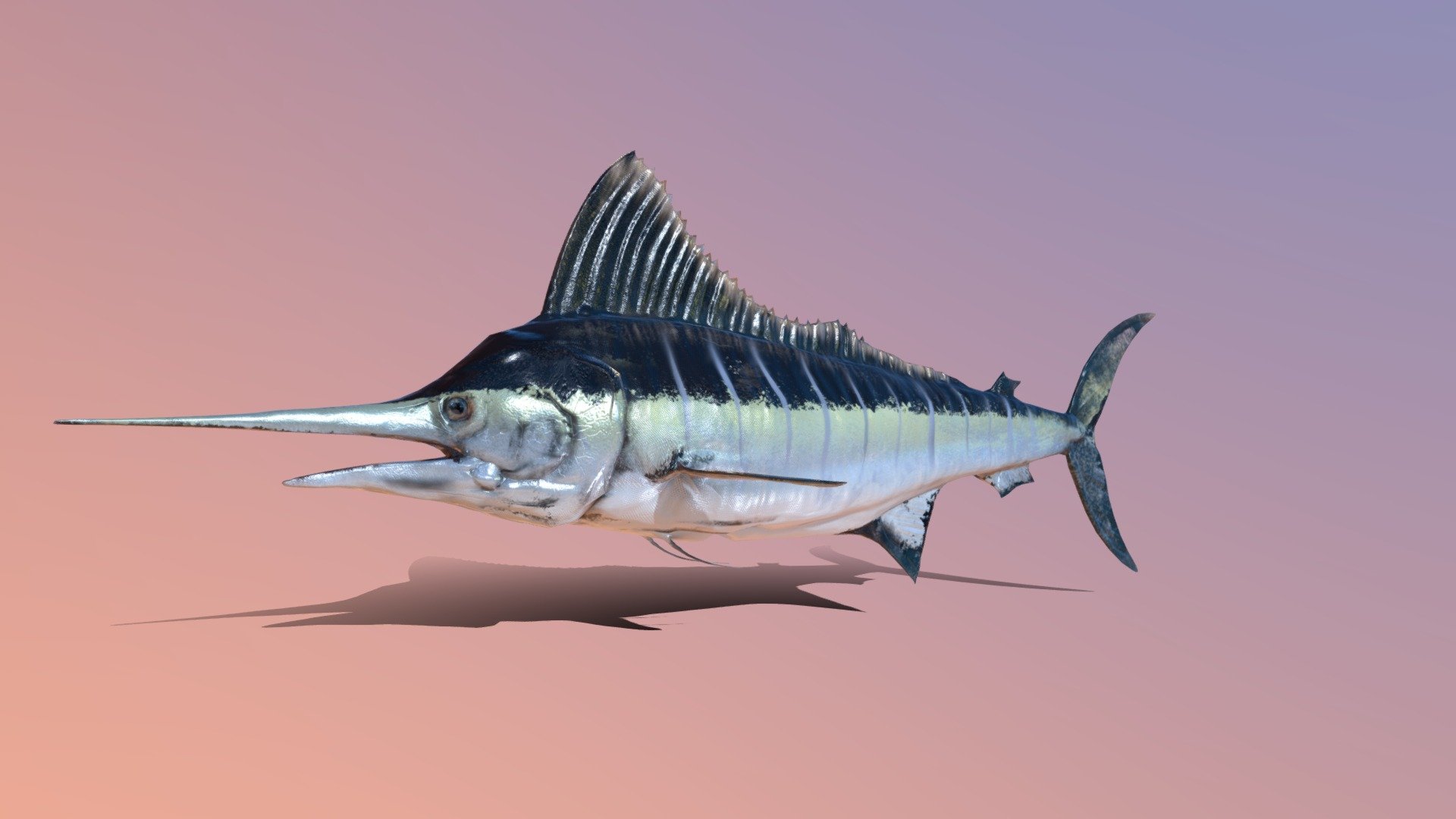 Sword Fish - Buy Royalty Free 3D model by GoldenZtuff (@dhjwdwd ...