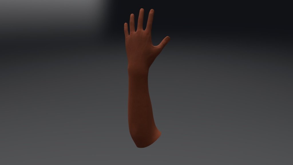 Handfbx - 3D model by YouriHartgring [13dad93] - Sketchfab