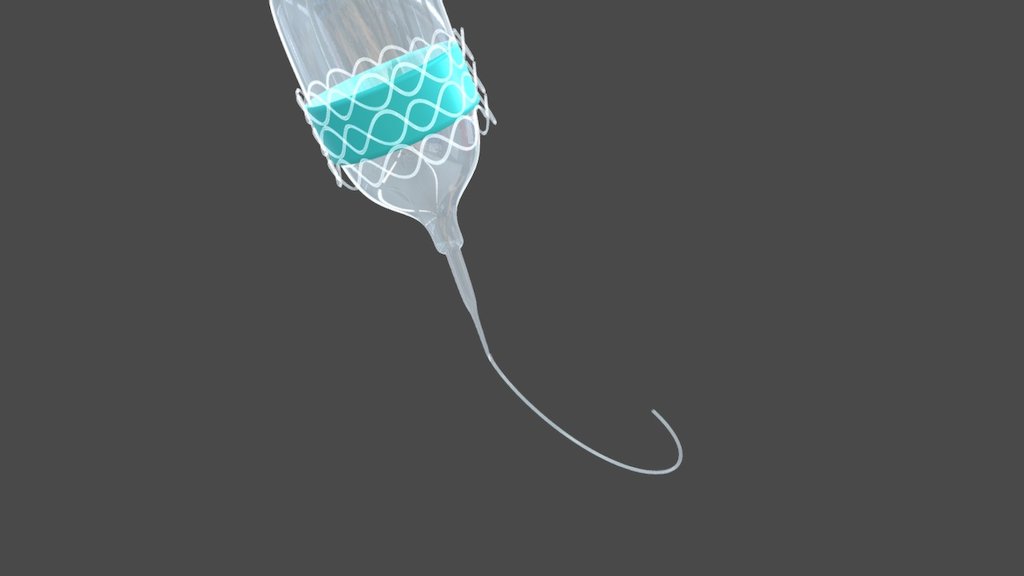 TAVR Insertion - 3D model by nmutch [13dcc4c] - Sketchfab