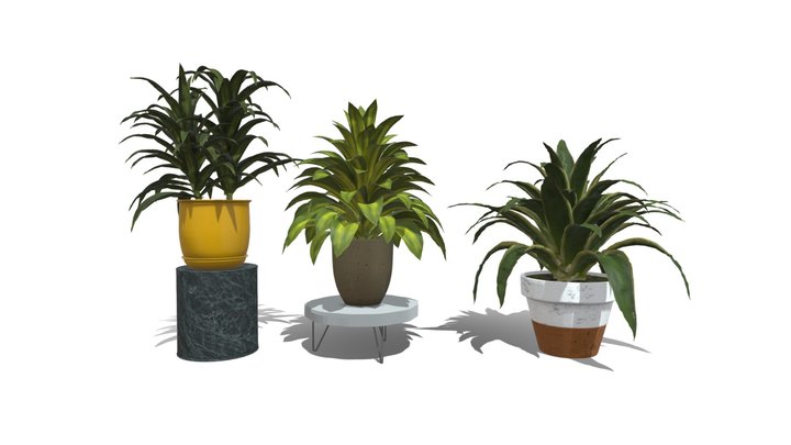 Corn 3D models - Sketchfab