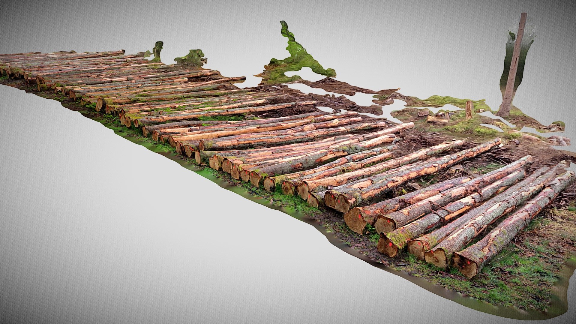 mScale multilog, 80 logs, in one go - 3D model by dralle.as [13e6d72 ...