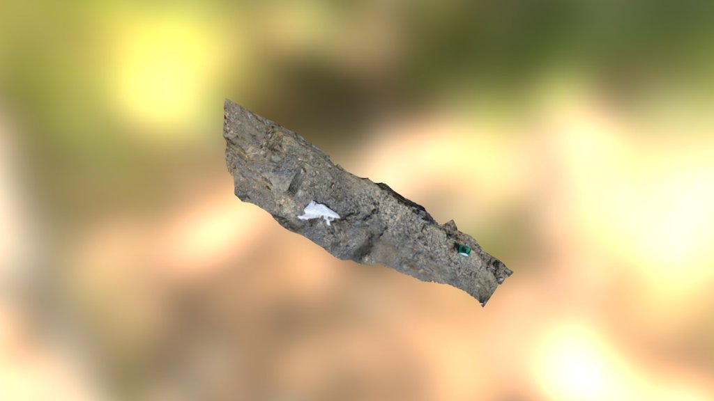 Walcott 1 - 3D model by mcdermidlab [13e6e54] - Sketchfab