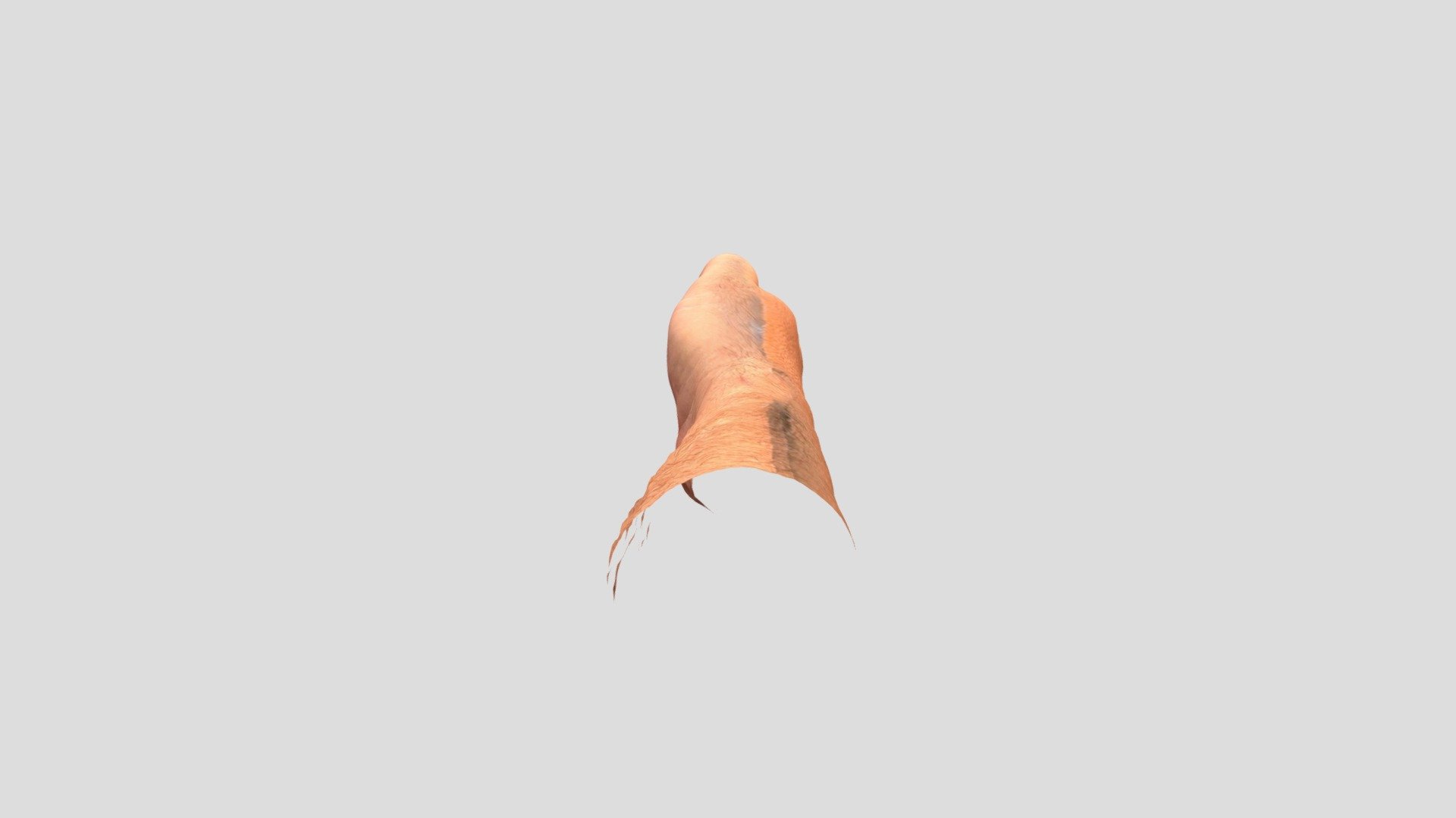 Knife hand - Download Free 3D model by demoree [13ece09] - Sketchfab