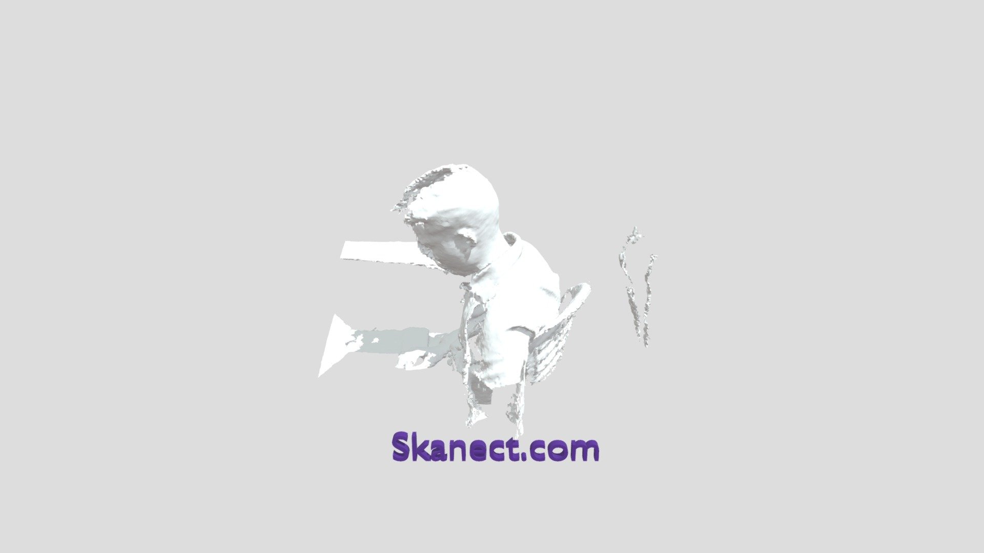 New Skanect Model - 3D model by himanshu singhal (@abtakajtak) [13f231a ...