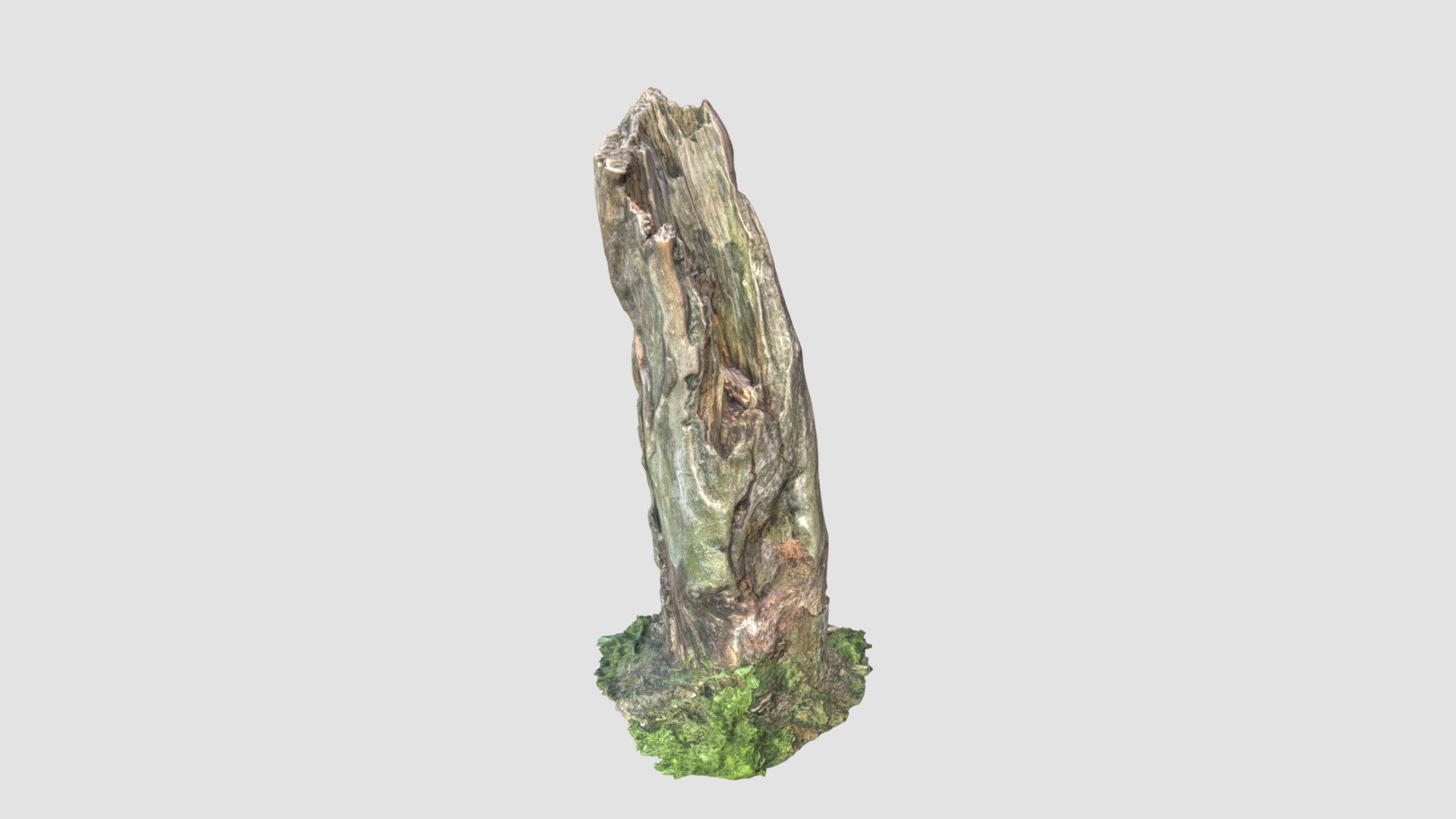 forest element - Buy Royalty Free 3D model by Evermotion [13f5f9f ...
