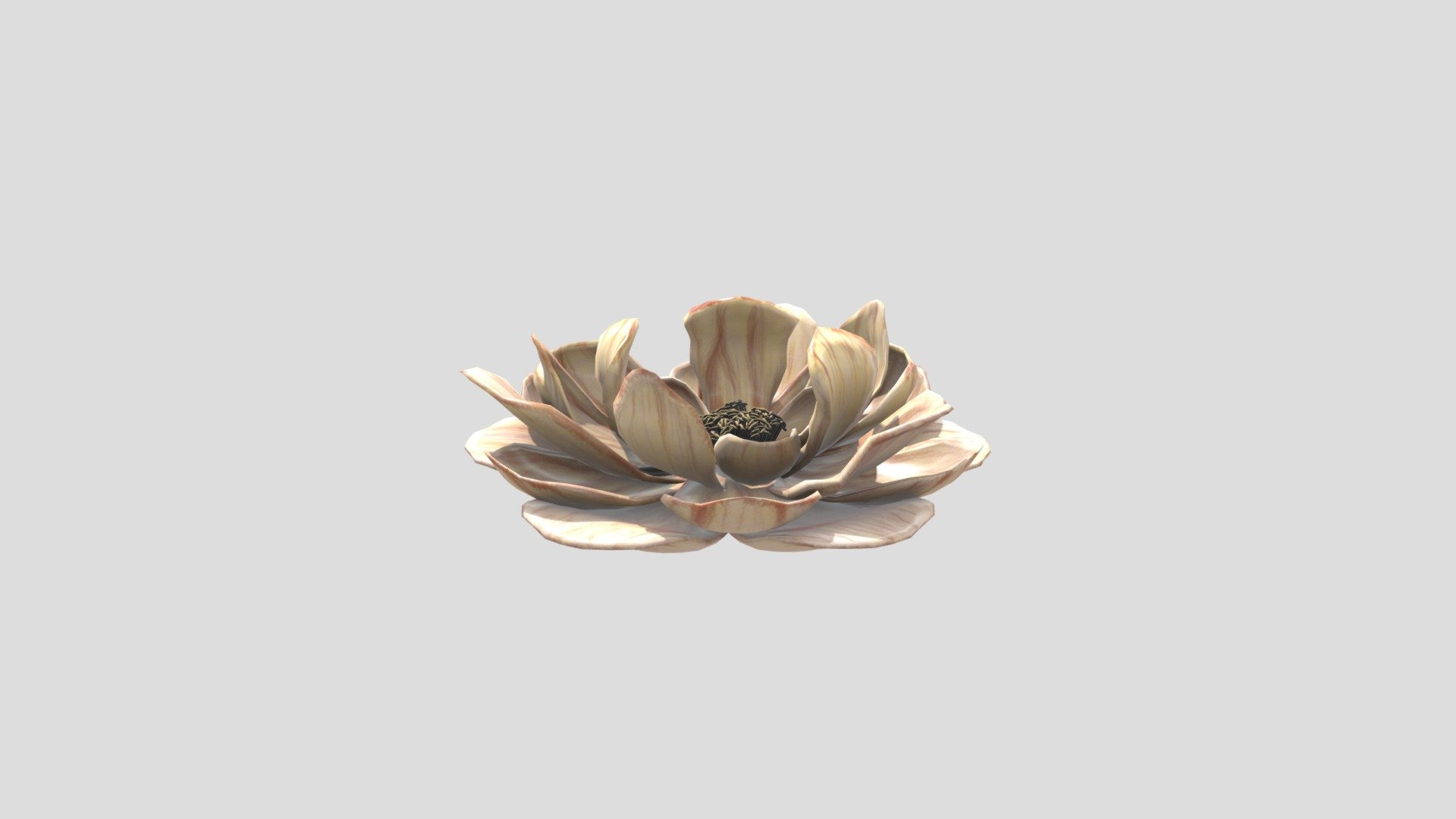 Flor1 - 3D model by Inmersivo S.A.S (@tangibledesign) [140208b] - Sketchfab