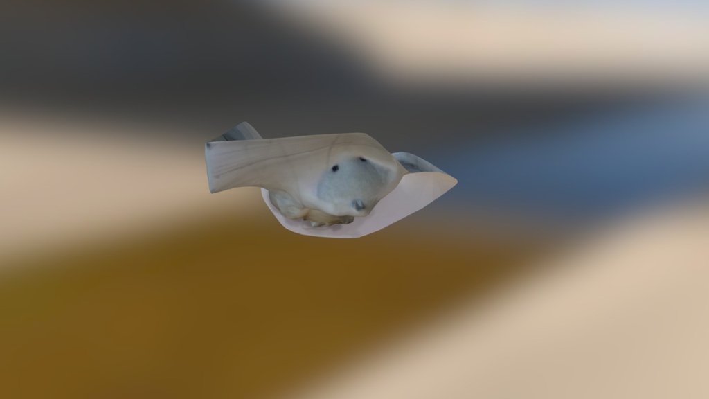 4747 Obj - 3D model by z0960473 [1406343] - Sketchfab